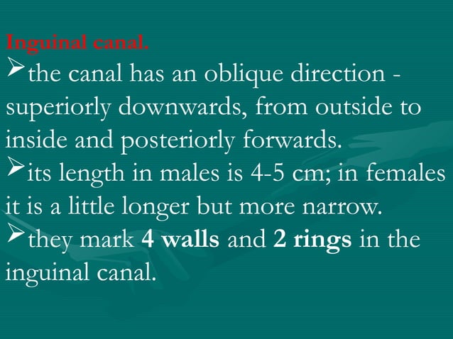 Abdominal wall hernia git system definition | PPT