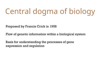 9a_central dogma___bioeniginerring .pptx