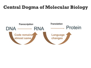9a_central dogma___bioeniginerring .pptx