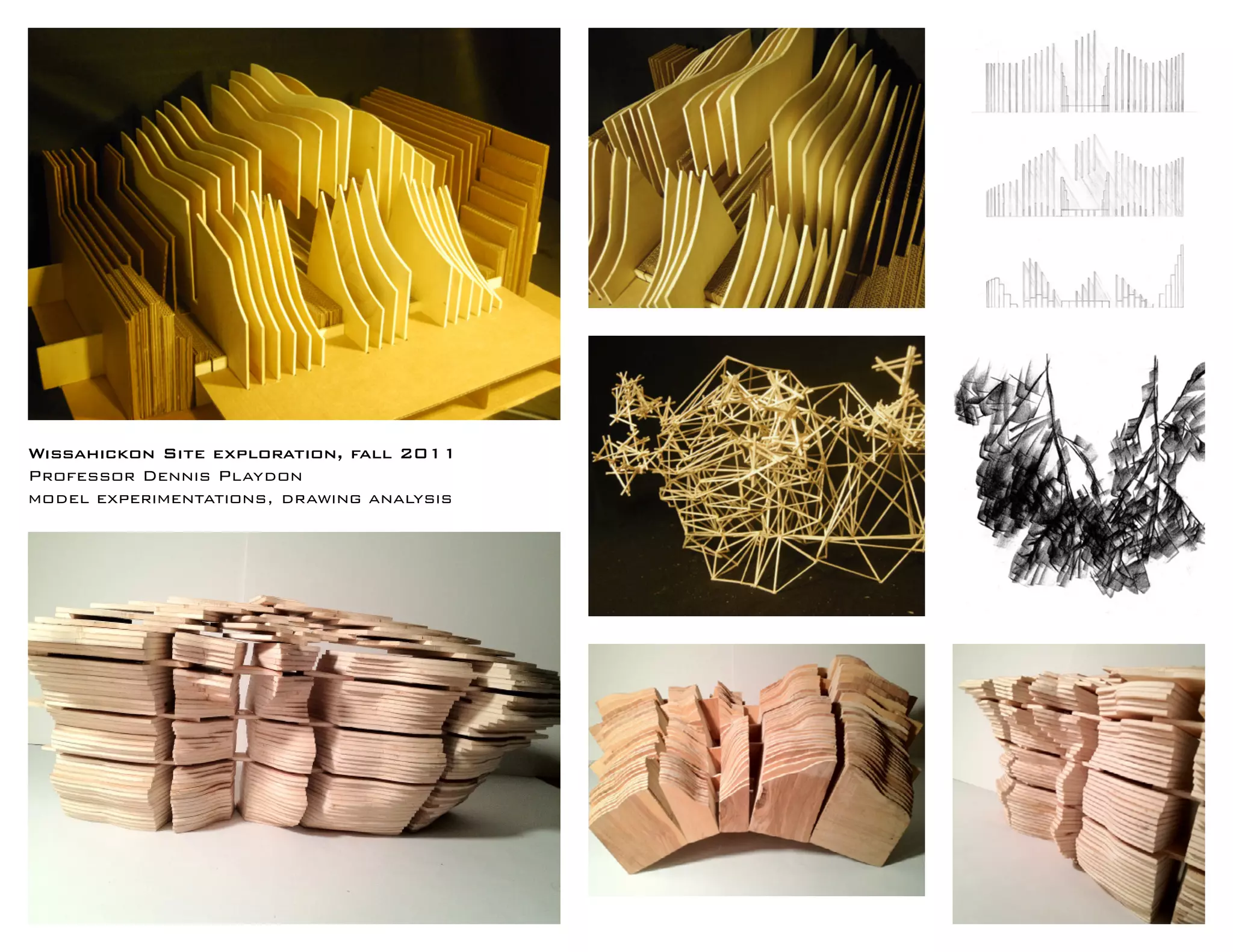 Rohan's Portfolio Normal | PPT