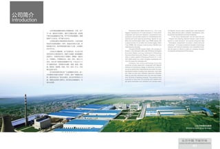 Shandong Kaitai Metal Abrasive | PDF