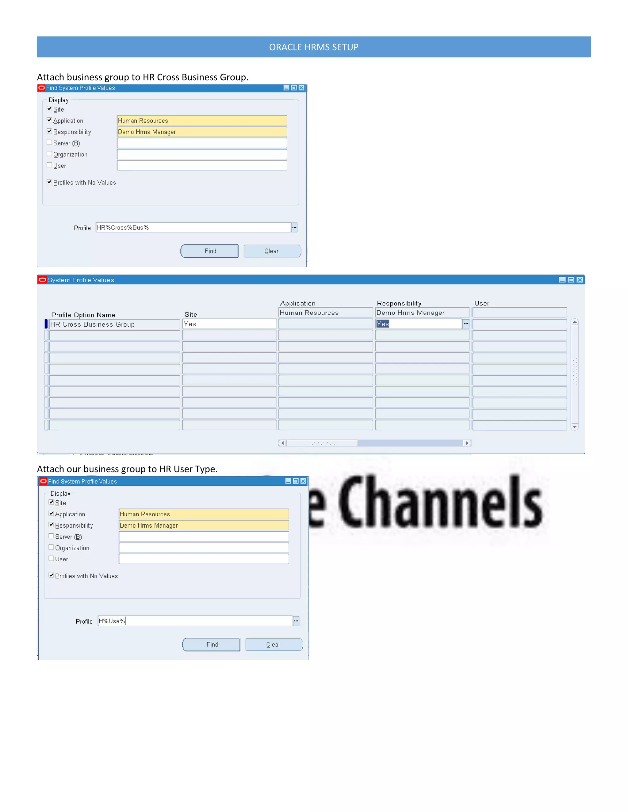 Oracle EBS HRMS SETUP | PDF