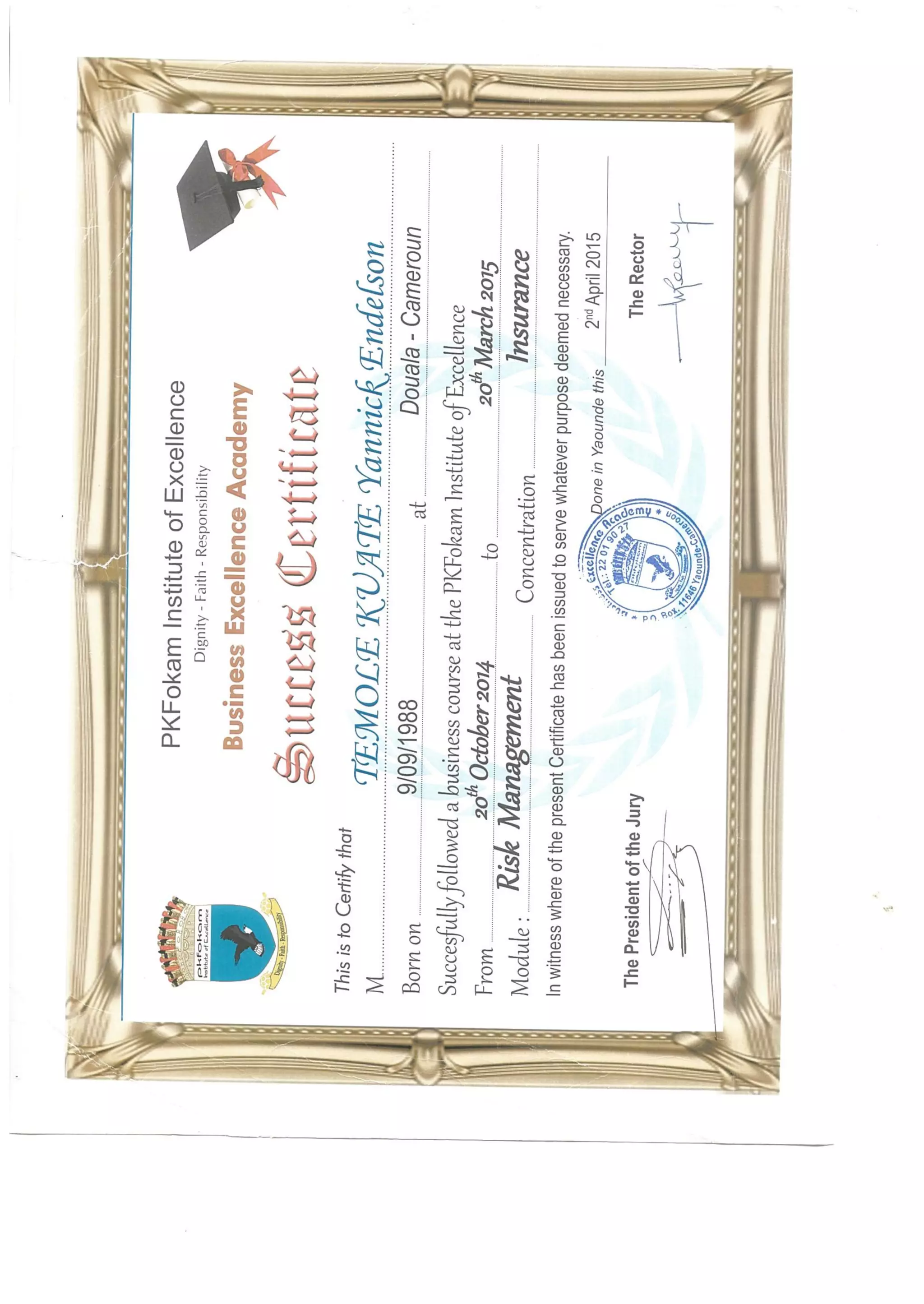 Risk Management Certificate | PDF