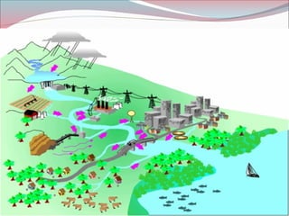 Comprehensive Overview of Hydrological Cycle and Surface Water Flow ...