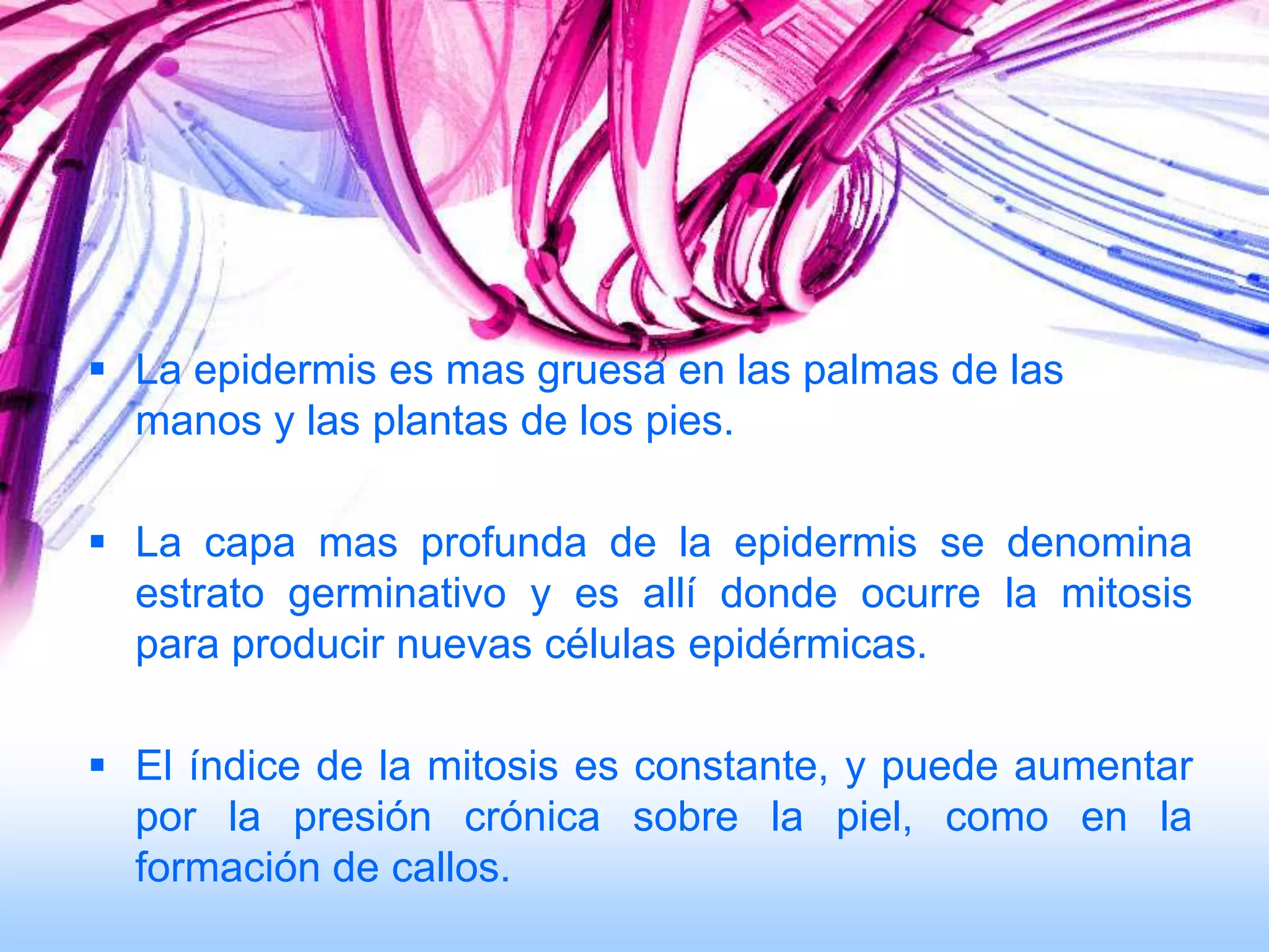 9 anatomia y fisiologia de la piel | PPTX