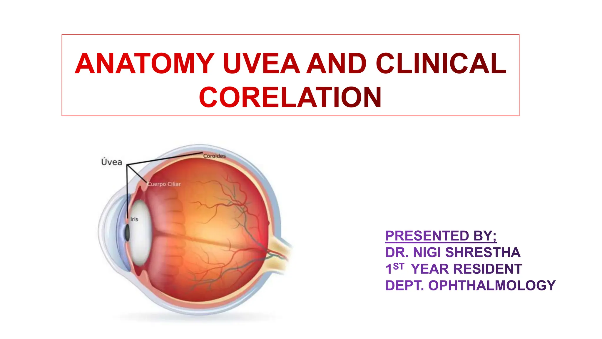 Anatomy of uvea UVEA of ophthalmology.pptx
