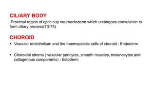 Anatomy of uvea UVEA of ophthalmology.pptx