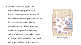 Fractures healing and joint tumors.pptx
