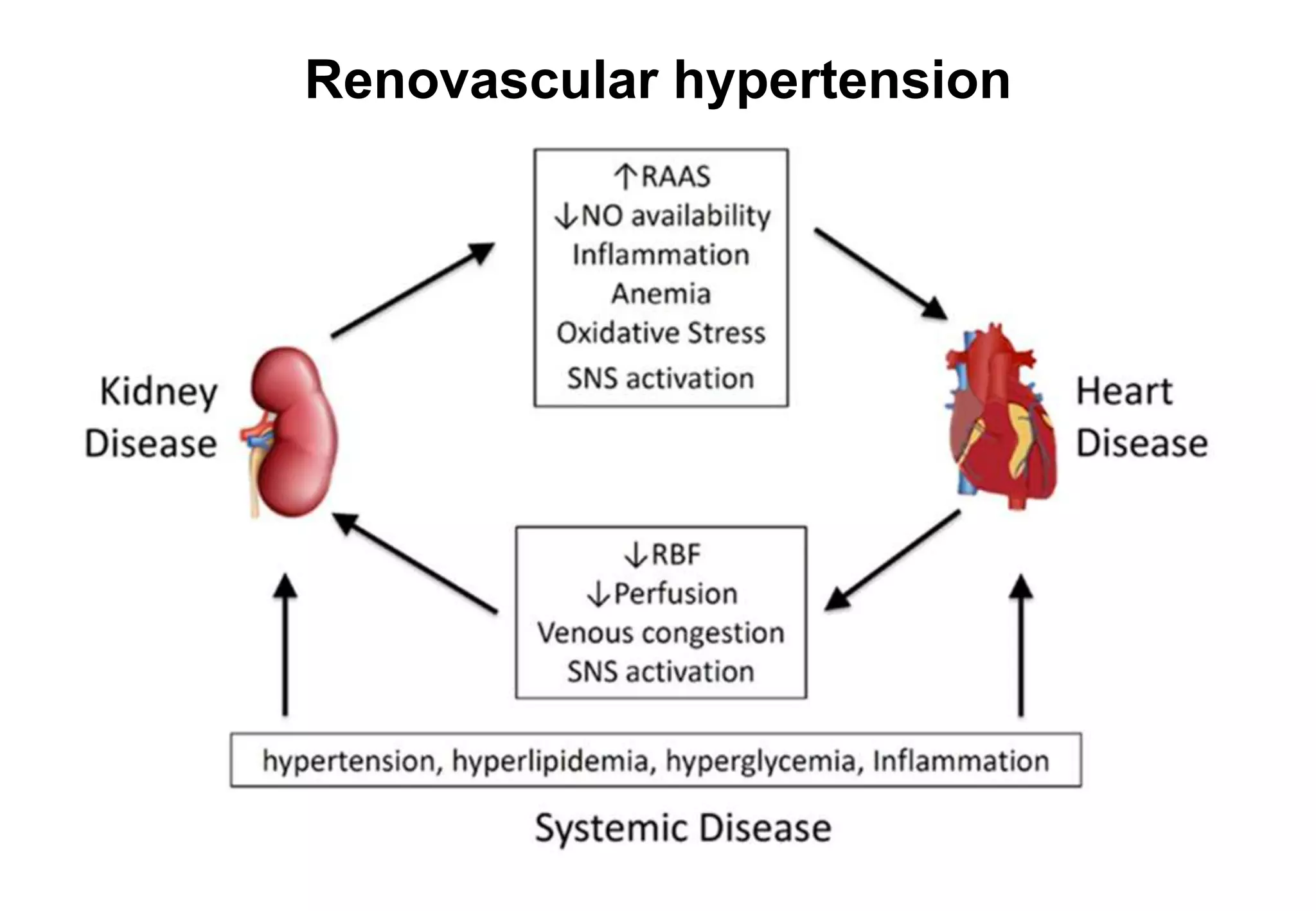 [9] Animal Models of Hypertension.pptx