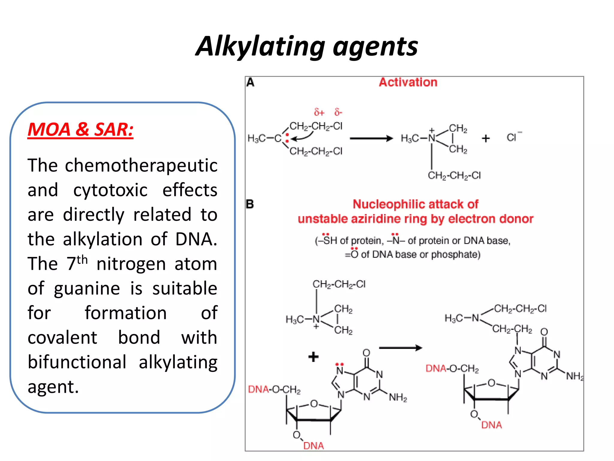 Anticancer drugs 2 alkylating agents | PPTX