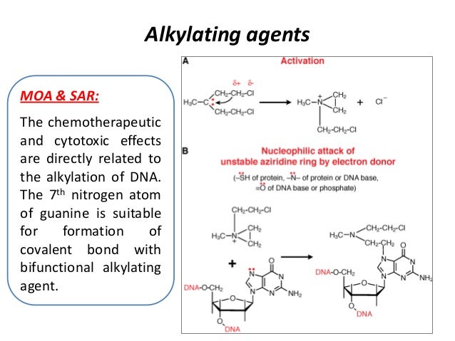 Anticancer drugs 2 alkylating agents