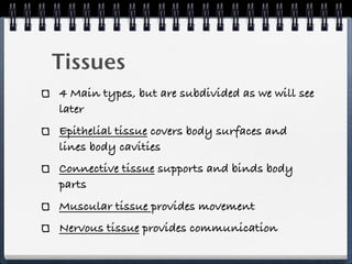 9a, tissues and homeostasis | KEY