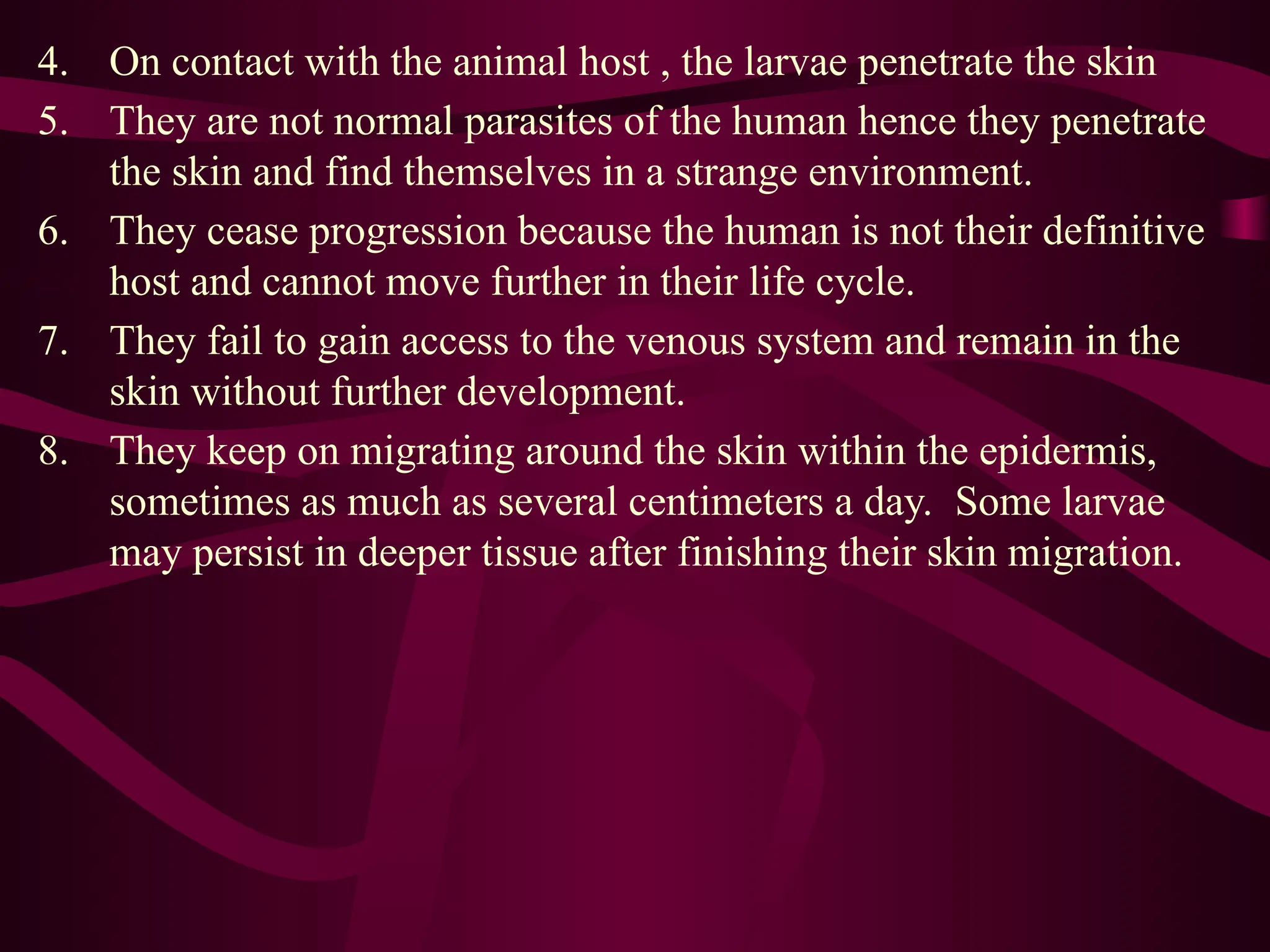 Microbiology Presentation On Hookworms Pptx