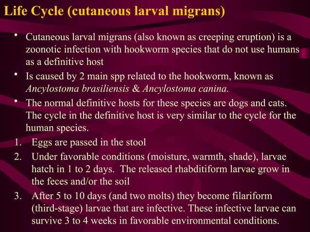 MICROBIOLOGY PRESENTATION ON HOOKWORMS.pptx