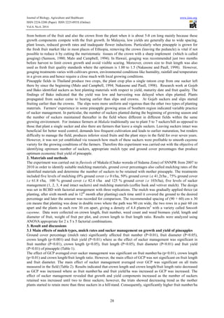 pineapple journal | PDF