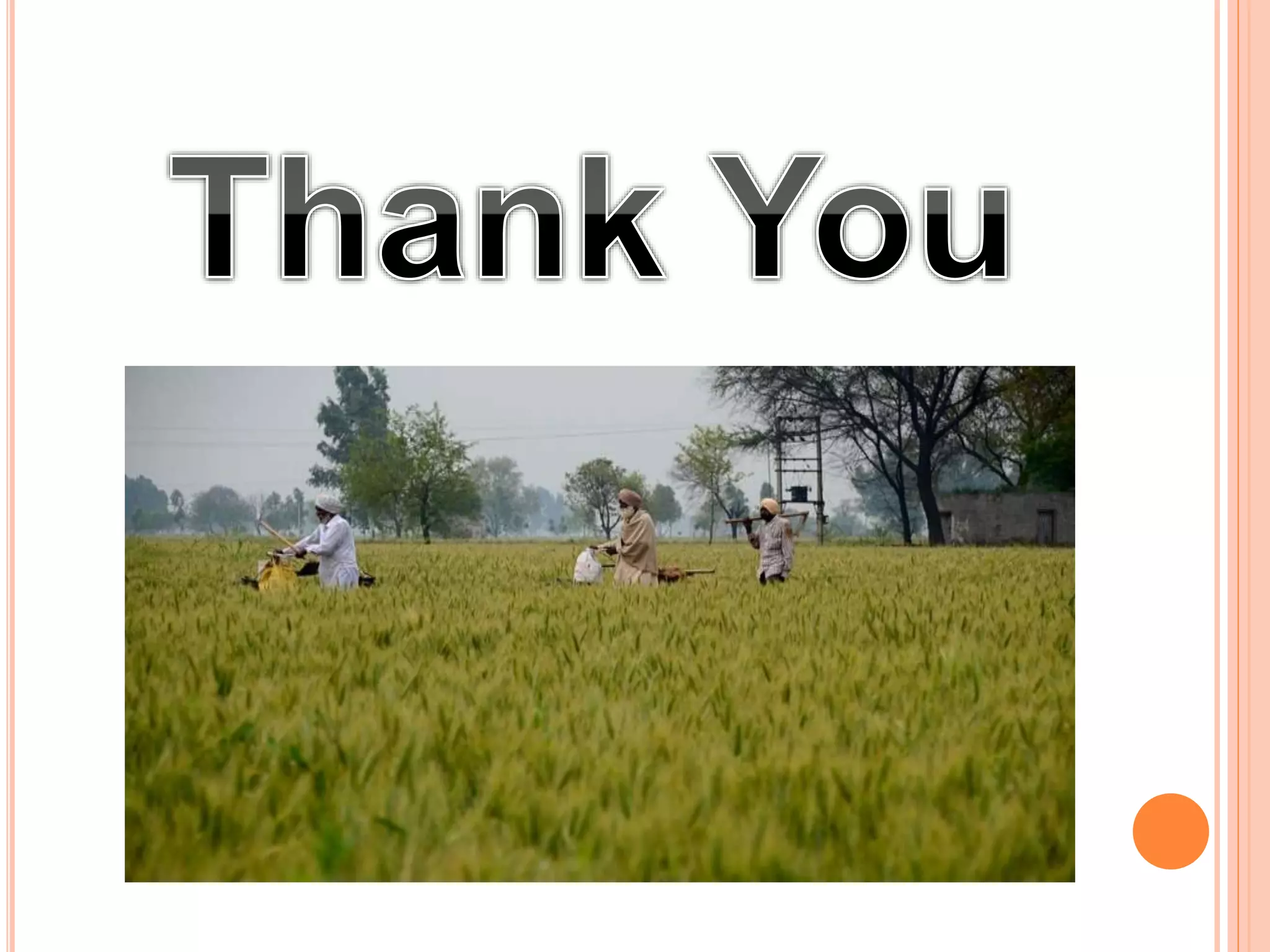 A Report on RAWE | PPTX