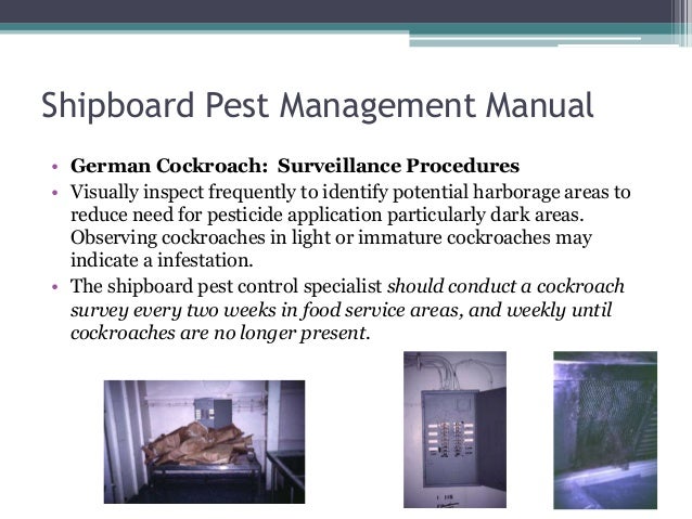 Methods Of Pest Control Onboard Ship | Pest Control
