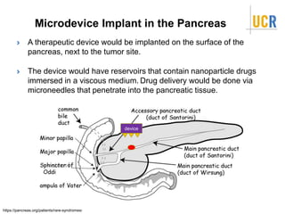 COMSOL - Nanoparticle Flow in Microneedle Channel | PPTX