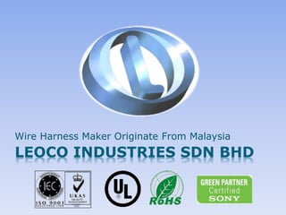 Leoco Company Profile (2015) | PPTX