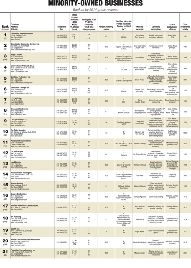 Minority-Owned Businesses 2015 | PDF