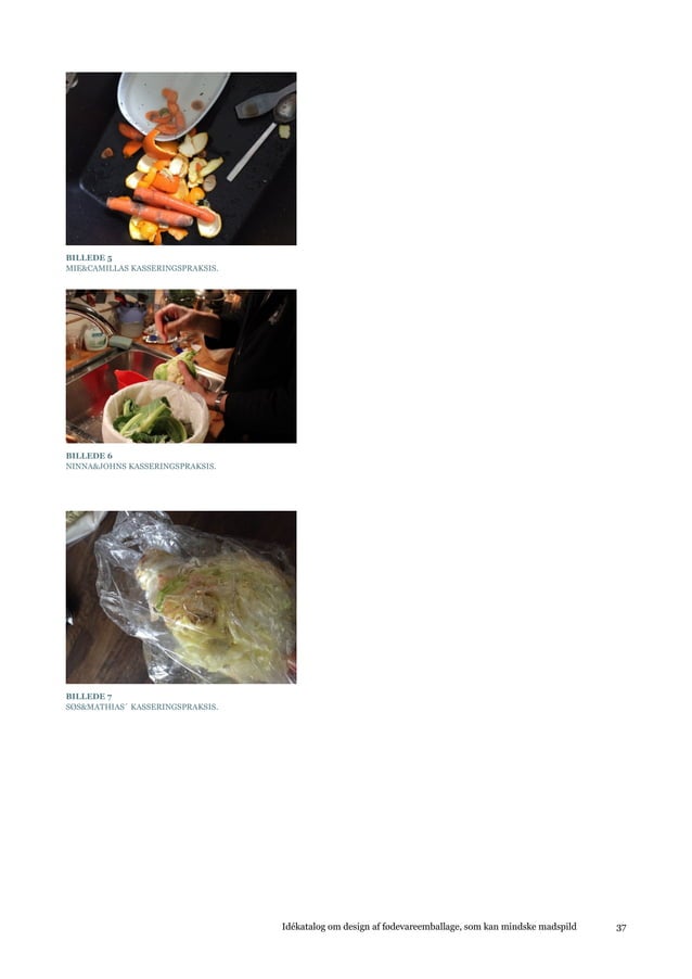 Miljøstyrelsen rapport | PDF