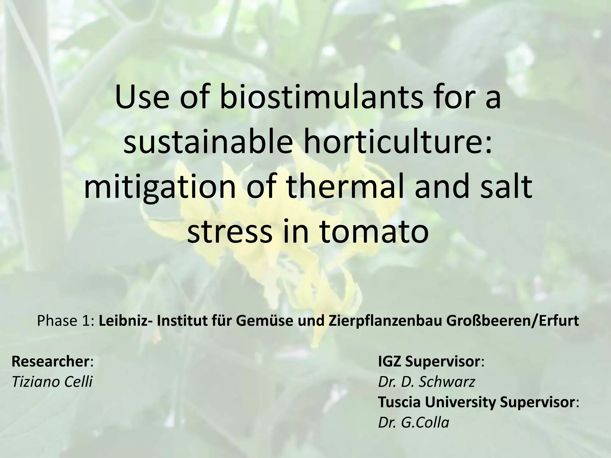 Use of biostimulants for a sustainable horticulture | PPTX