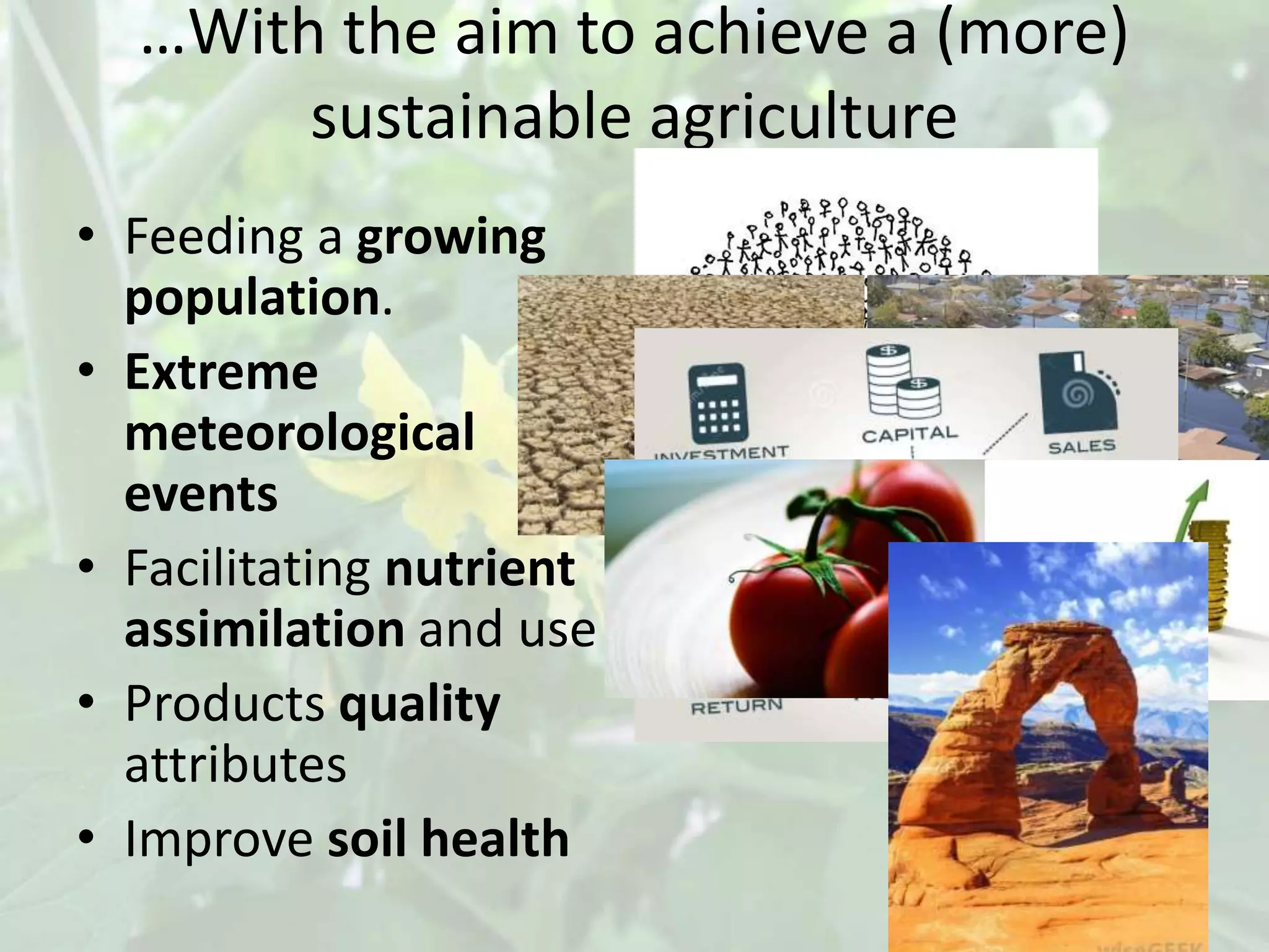 Use of biostimulants for a sustainable horticulture | PPTX