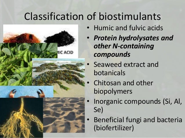 Use of biostimulants for a sustainable horticulture
