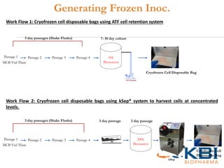 Debottlenecking Manufacturing Capacity: Initiating cell culture ...