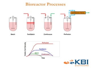 Debottlenecking Manufacturing Capacity: Initiating cell culture ...
