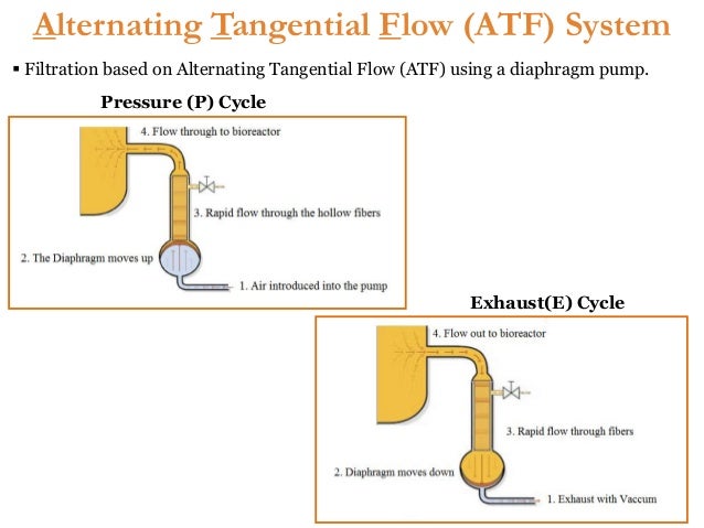Debottlenecking Manufacturing Capacity: Initiating cell culture manuf…