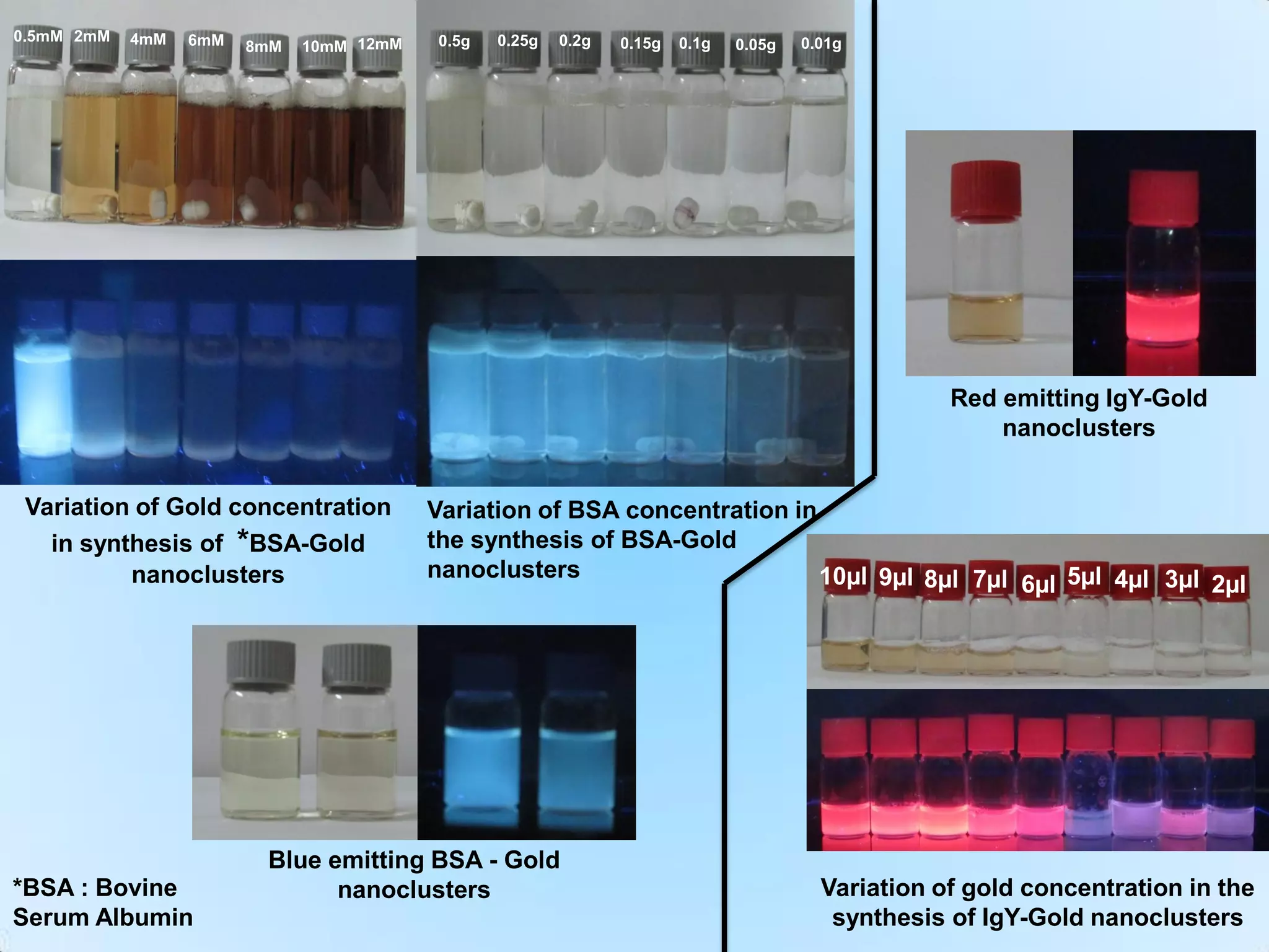 Fluorescent Metal Nanoclusters | PDF
