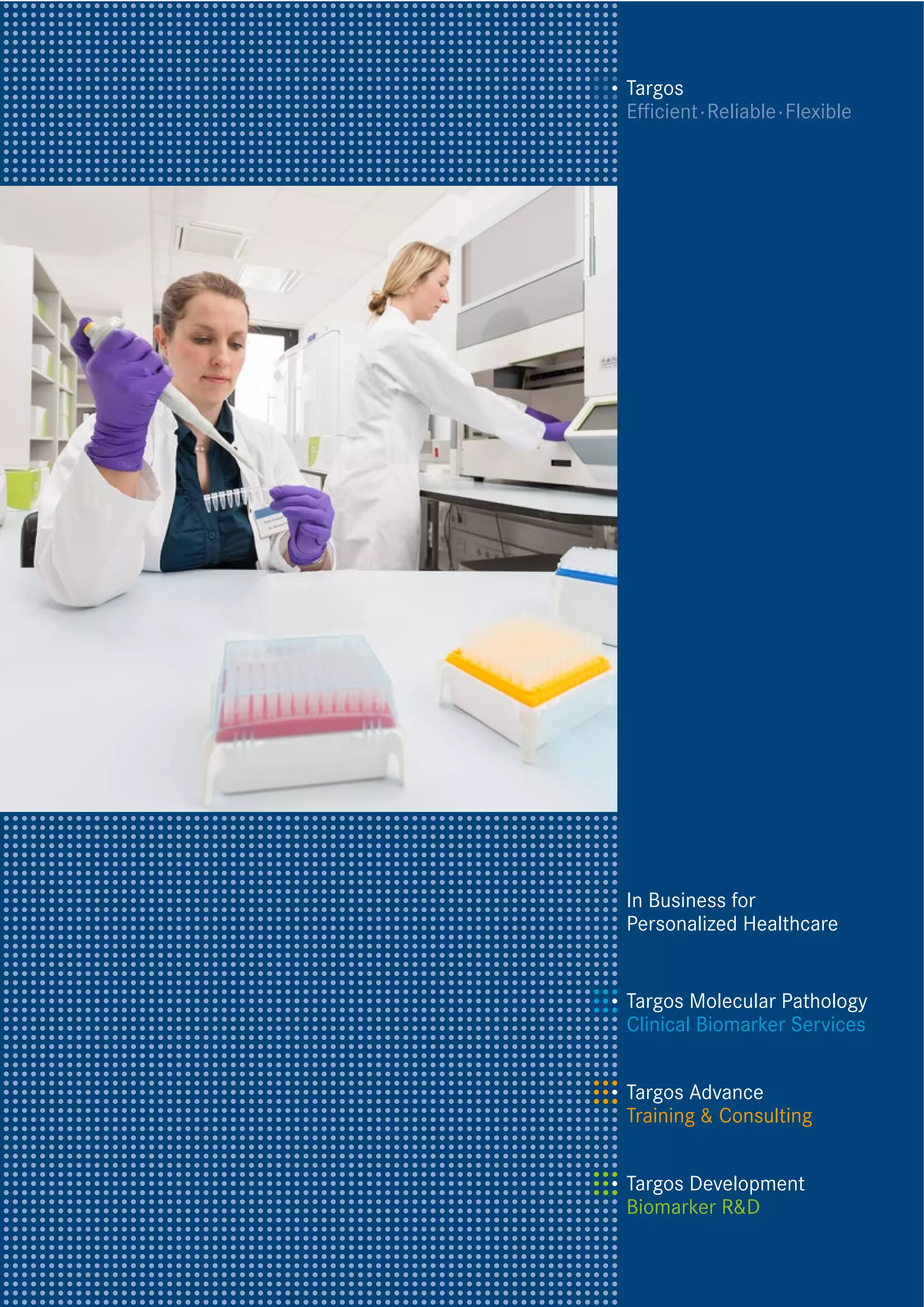 Targos_Company_Brochure_lowres | PDF