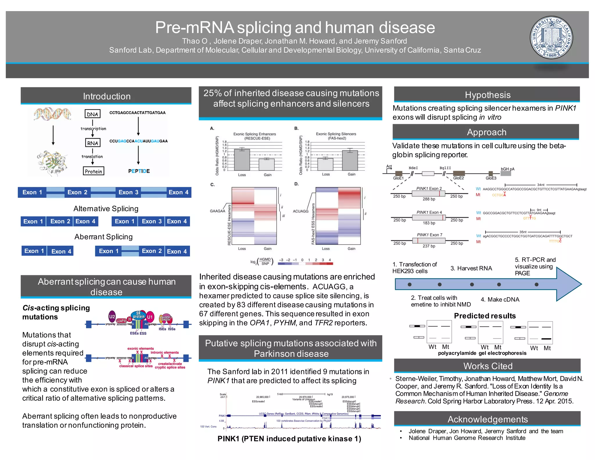 Pre-mRNA splicing and human disease | PDF | Genetics | Science