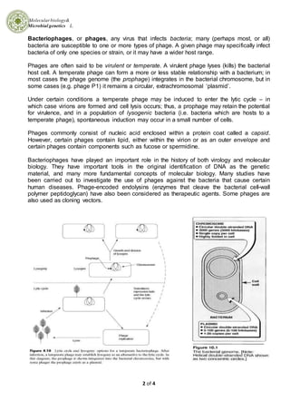 Bacteriophages and plasmids | DOC