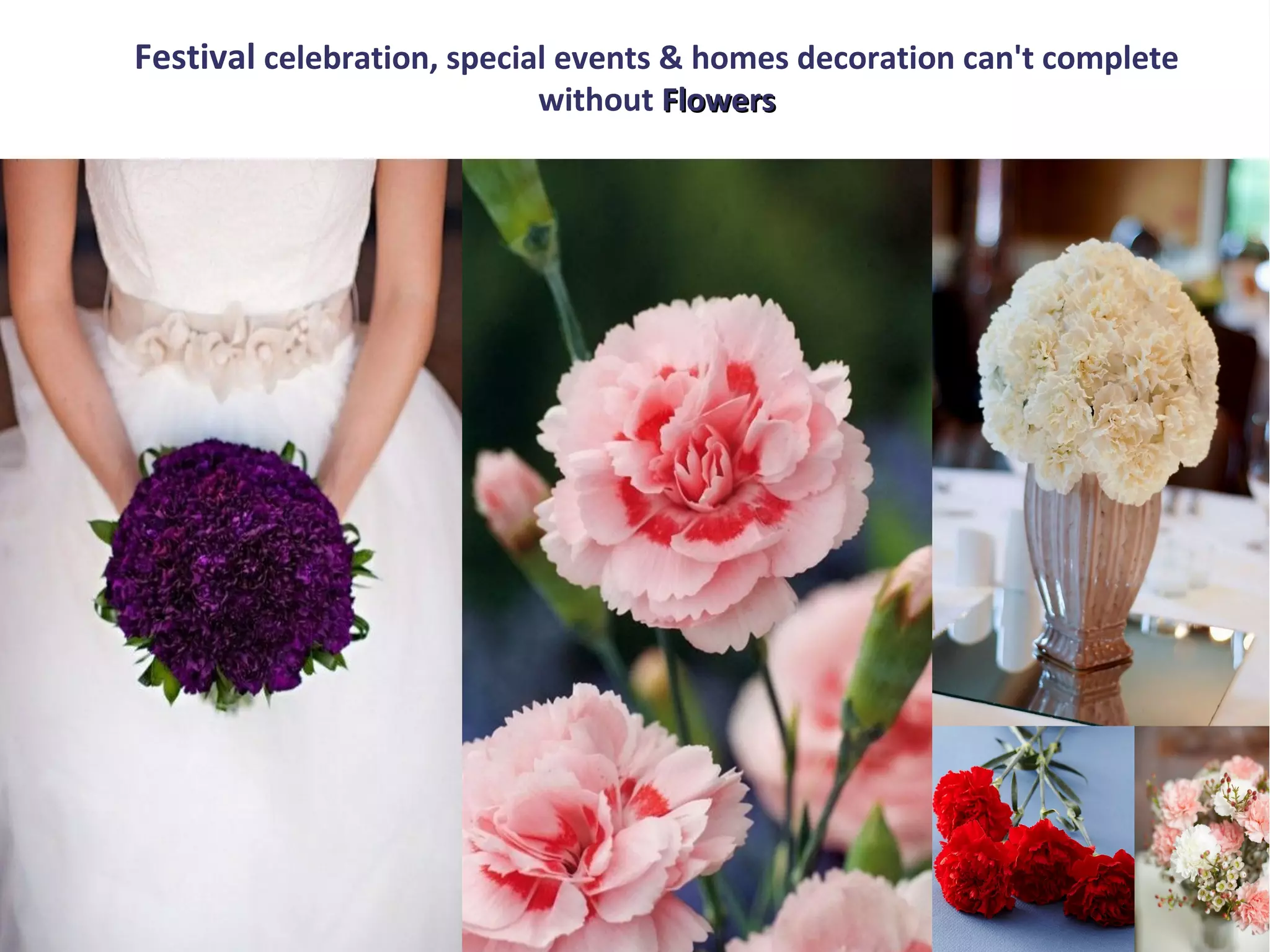 9 basic flower arrangement shapes | PPT