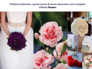 9 basic flower arrangement shapes | PPT