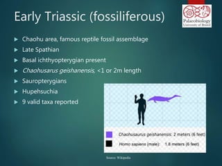 FINAL-Current-controv-Marine-reptiles-presentation-DONE | PPTX ...