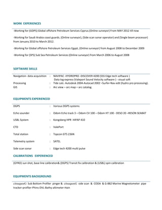 C.V - Walid Abdelbaky | PDF