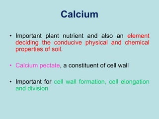 9b chemistry of soil Ca & Mg.pptx | Commodities | Economy