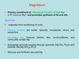 9b chemistry of soil Ca & Mg.pptx | Commodities | Economy