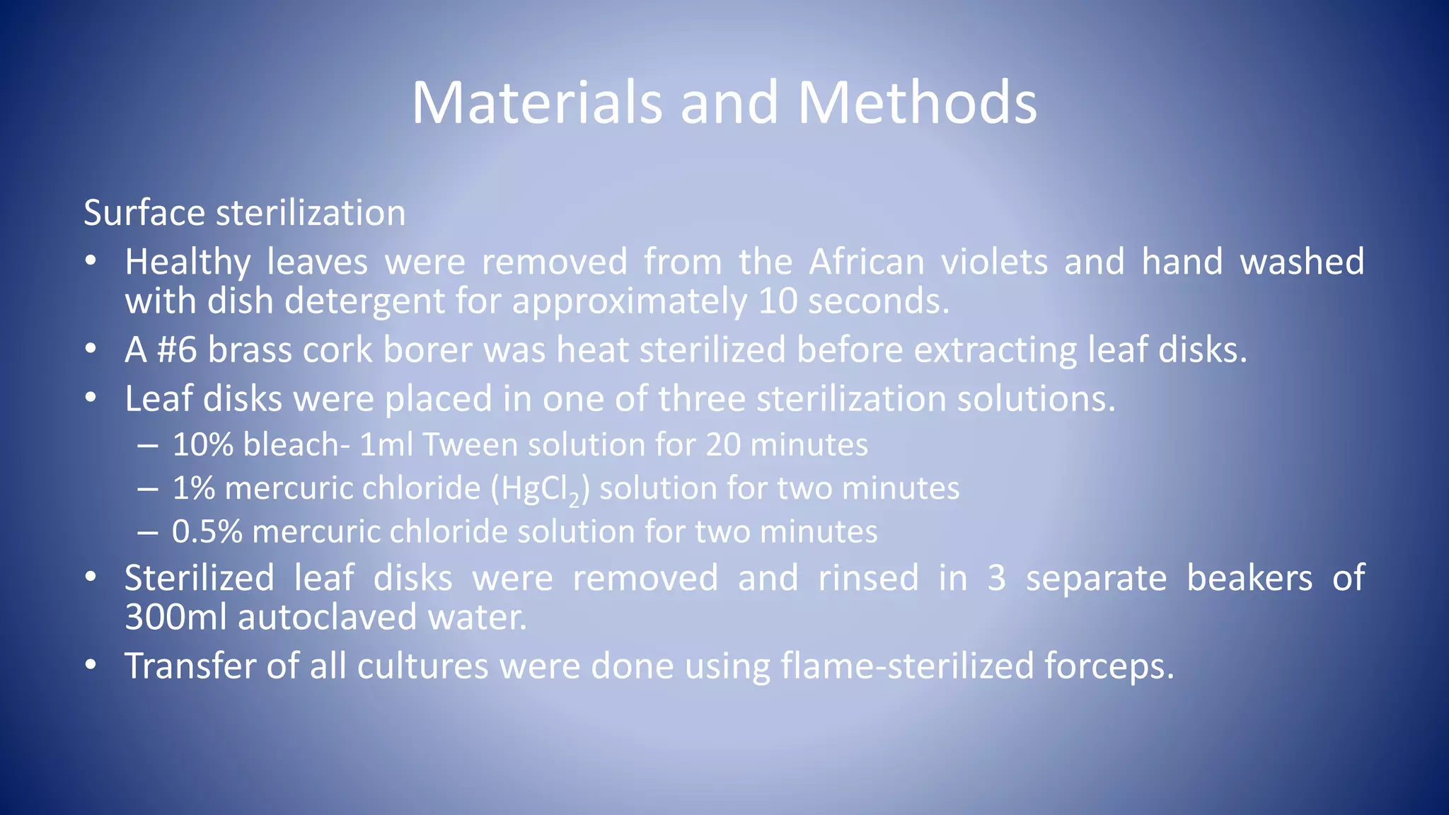 African Violet presentation powerpoint 2.0 | PPTX | Gardening | Home ...