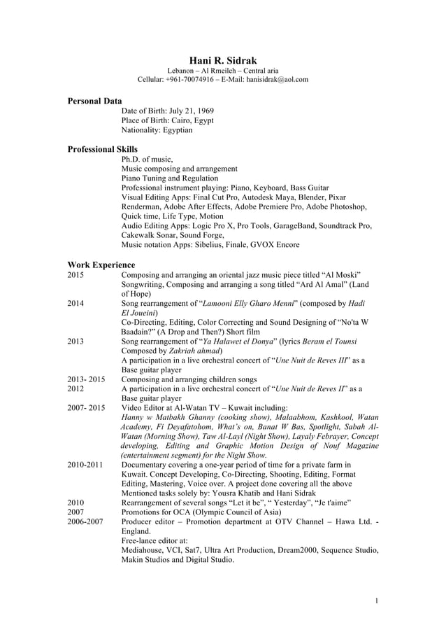 Hani_Sidrak_cv | PDF | Music | Entertainment
