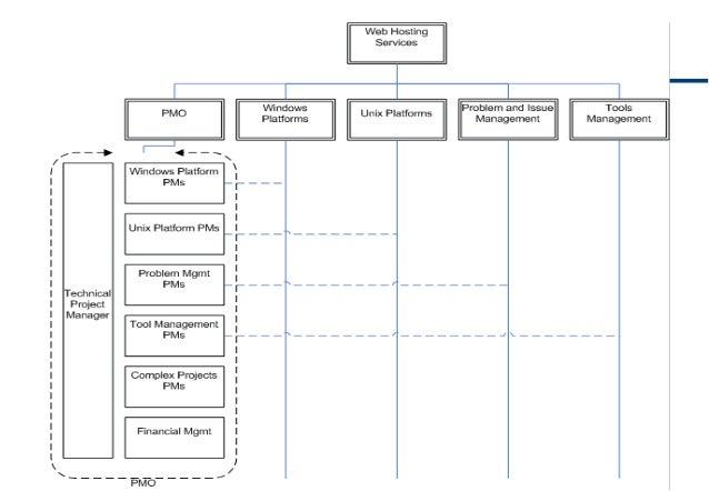 PMO Standard Org structure processes Chart & Role Descriptions_Arabi…