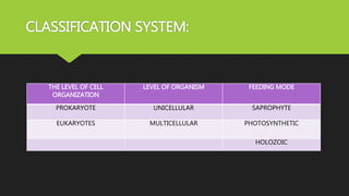 CHAPTER 9: Introduction to Biodoversity | PPTX