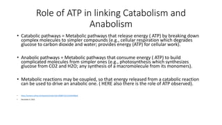 9 chapter Bioenergetics and Metabolism.pptx BSN | PPTX