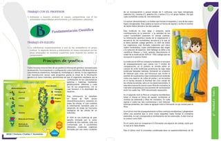Principios básicos de genética mendeliana e historia | PDF