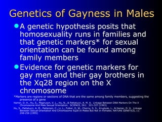 9 Biology Of Sexual Orientation | PPT