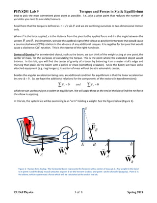 9___Biomechanics_Torques_in_Equilibrium.pdf.pdf