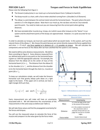 9___Biomechanics_Torques_in_Equilibrium.pdf.pdf